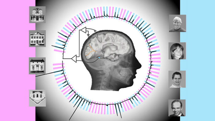 Brain signals decoded in real time with 96 percent accuracy via ...